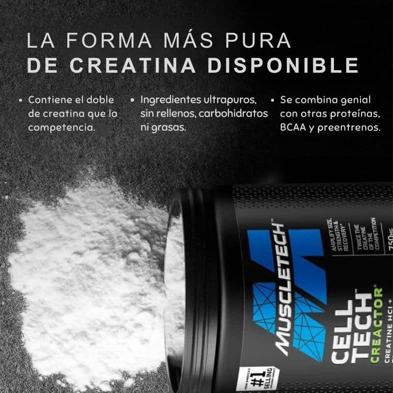 MuscleTech Cell-Tech Creactor Creatina HCl - Ponche de Frutas - 120 ...